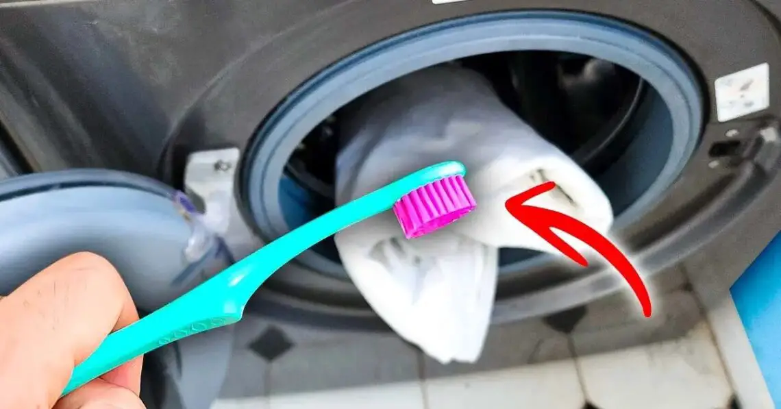 Pourquoi faut-il toujours garder une brosse à dents près du lave-linge ...